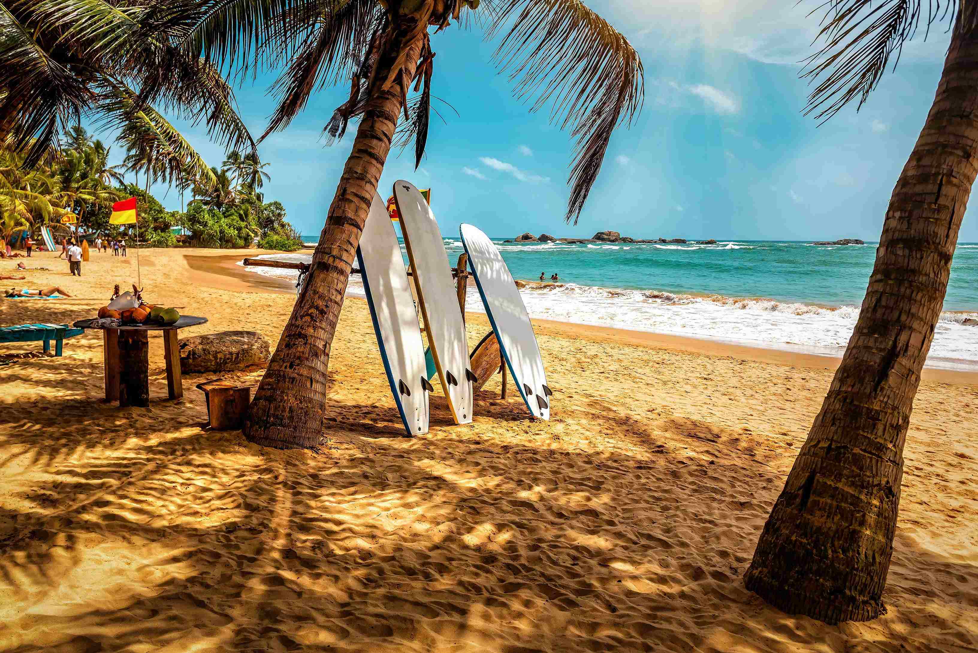 Sri Lanka Tour Packages | Explore with Kangaroo Cabs