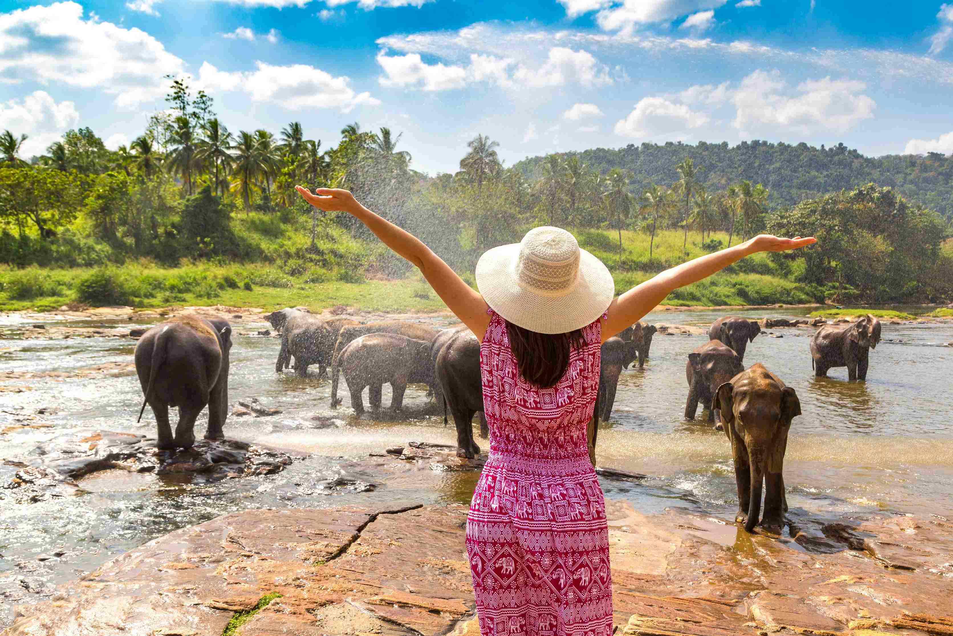 Sri Lanka Tour Packages | Explore with Kangaroo Cabs