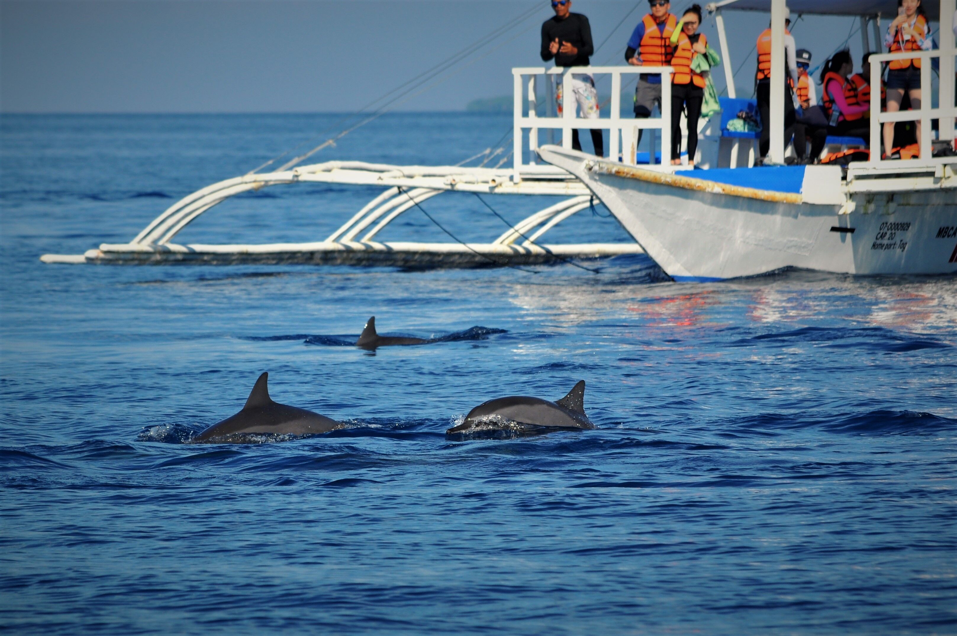Sri Lanka Tour Packages | Explore with Kangaroo Cabs